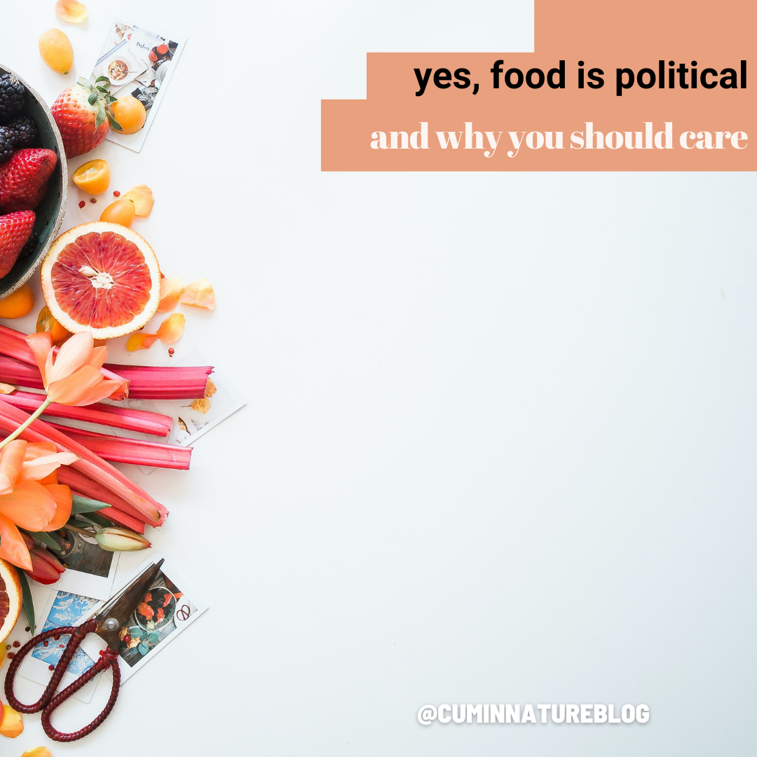 Why Food is Political (And Why You Should Care)